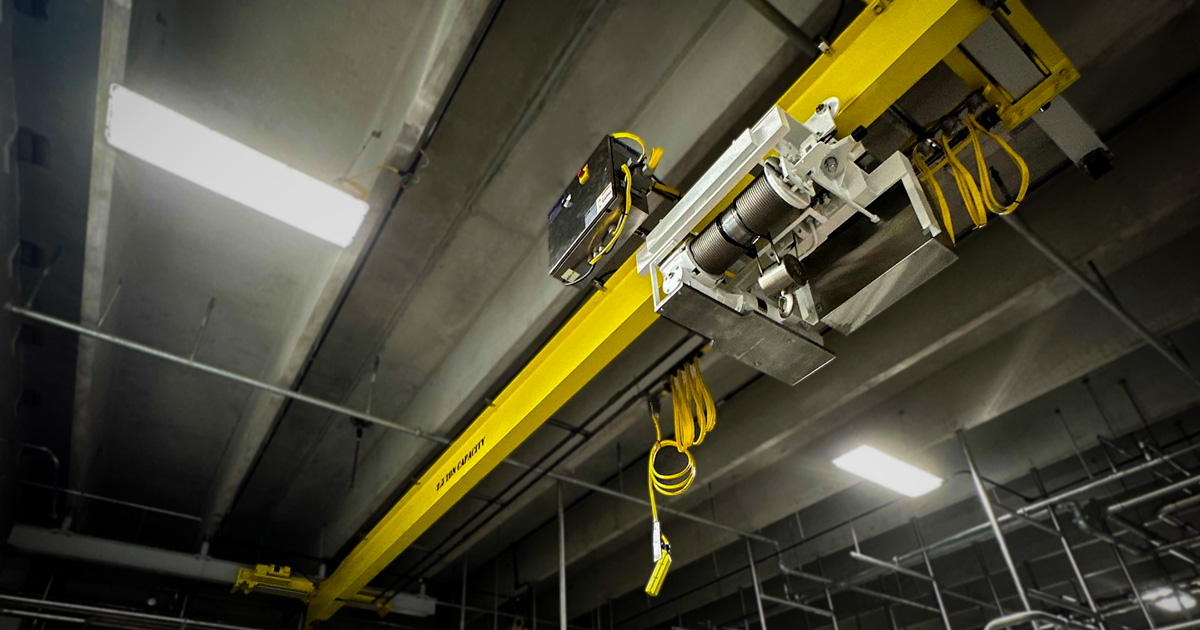 Food-Grade Overhead Crane and Hoist